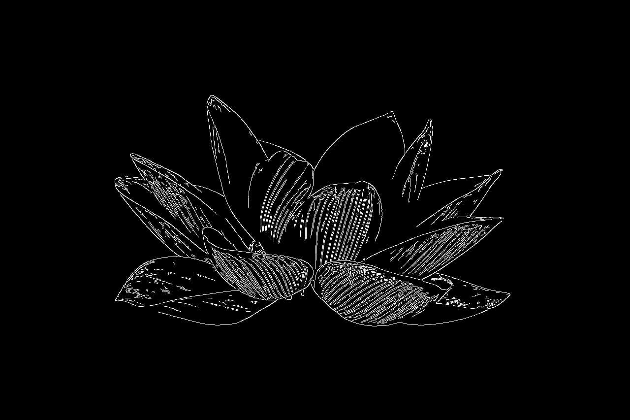 【openCV】Sobel法、Laplacian法、Canny法のエッジ検出をしてみる[Python] | 3PySci