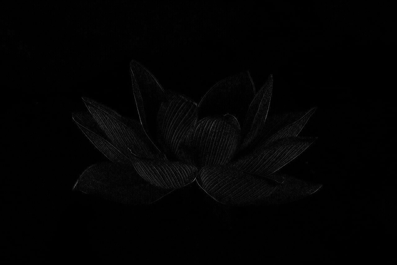 【openCV】Sobel法、Laplacian法、Canny法のエッジ検出をしてみる[Python] | 3PySci