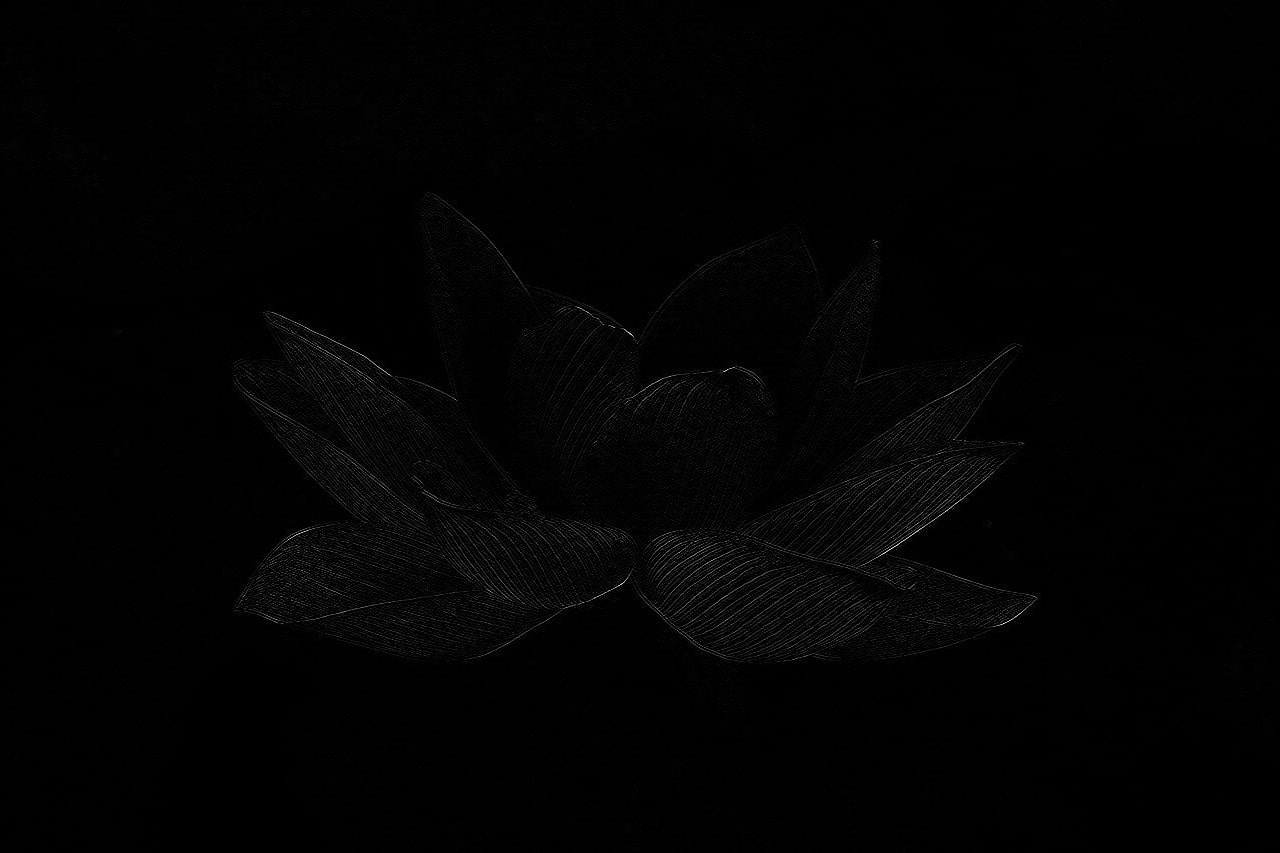 【openCV】Sobel法、Laplacian法、Canny法のエッジ検出をしてみる[Python] | 3PySci